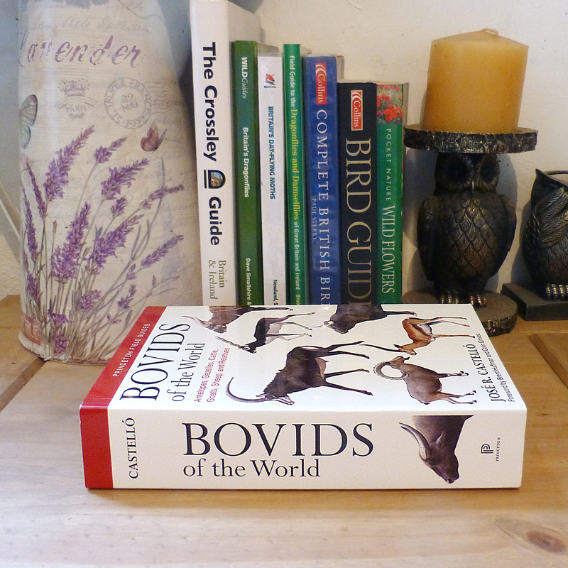 Bovines of the world by Jose R Castello Book Review | Gadget Review