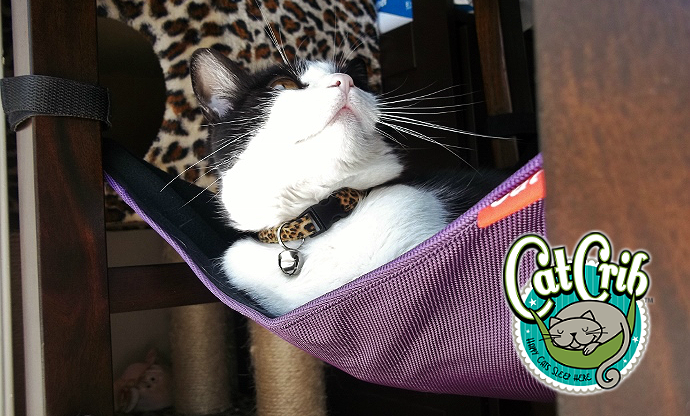 Momma Told Me: A Feline Summer? Put Up All 4 With The @CatCrib Giveaway 6/2