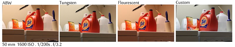 Random Day to Day Thoughts, Projects, and Ideas: Photography - White ...