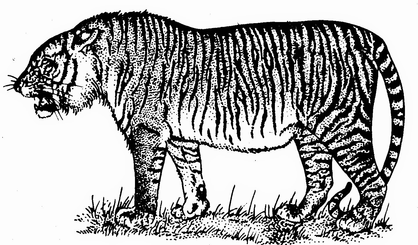 Gods-Leaders-Images-Drawings: 2014