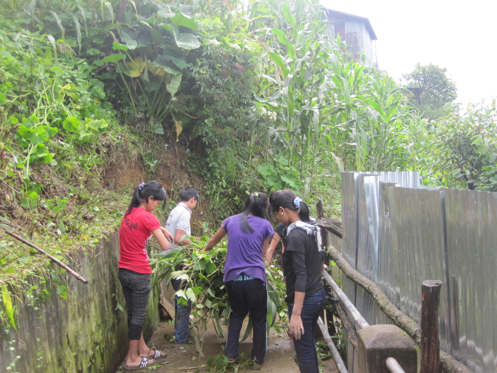 Village View: Rural Action: Environmental issues, women leaders from ...