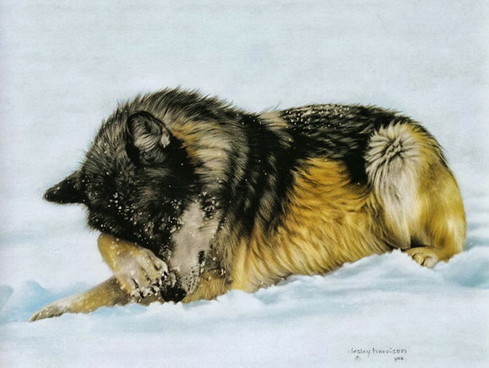 Arte y Actividad Cultural: Preciosos Cuadros de Animales Pintados al ...