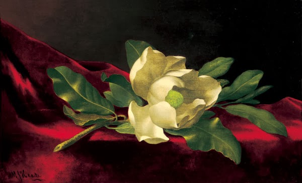 Martin Johnson Heade | Prolific Painter | 1819-1904