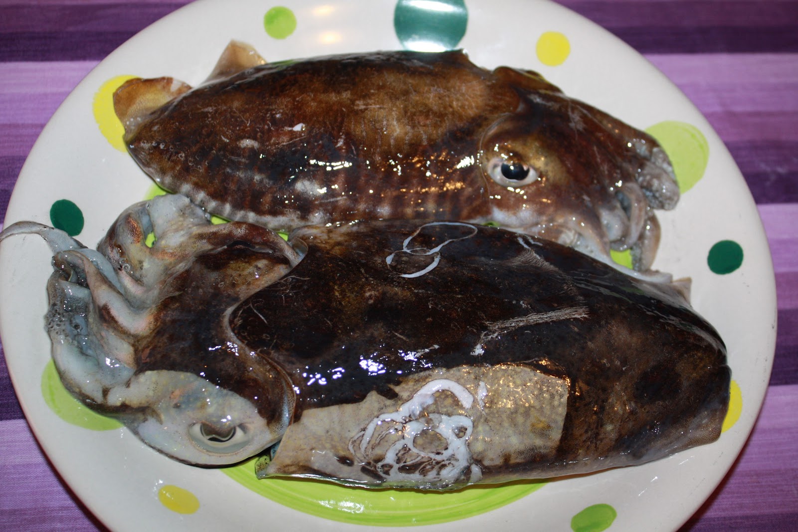 La Cuciniera Moderna: Insalata seppie e carciofi