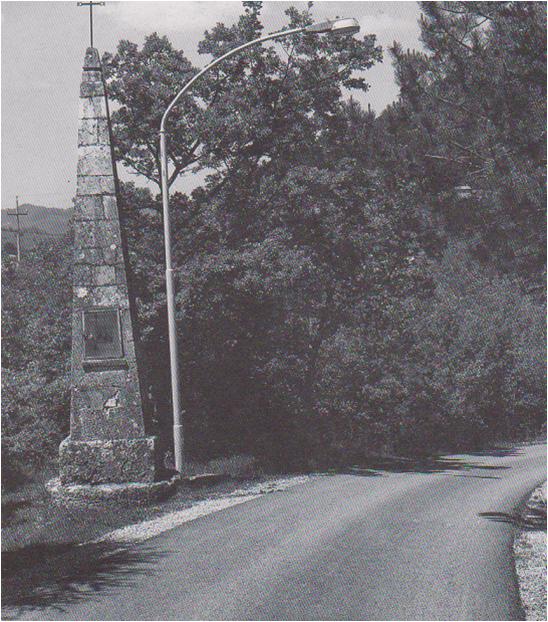 SCOTANO E GUADO – DUE PIANTE PREZIOSE E RICERCATE DAL XIII AL XVII SECOLO