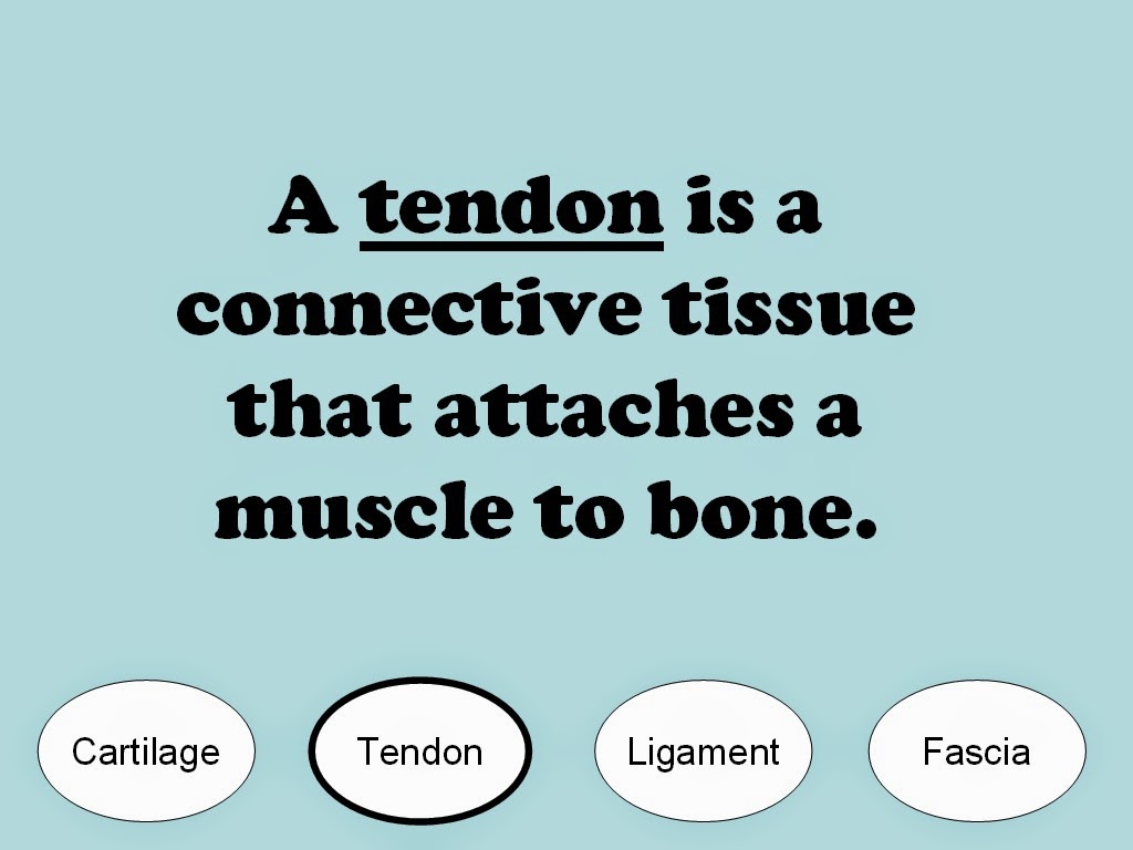 Student Survive 2 Thrive: Muscular System Practice Test