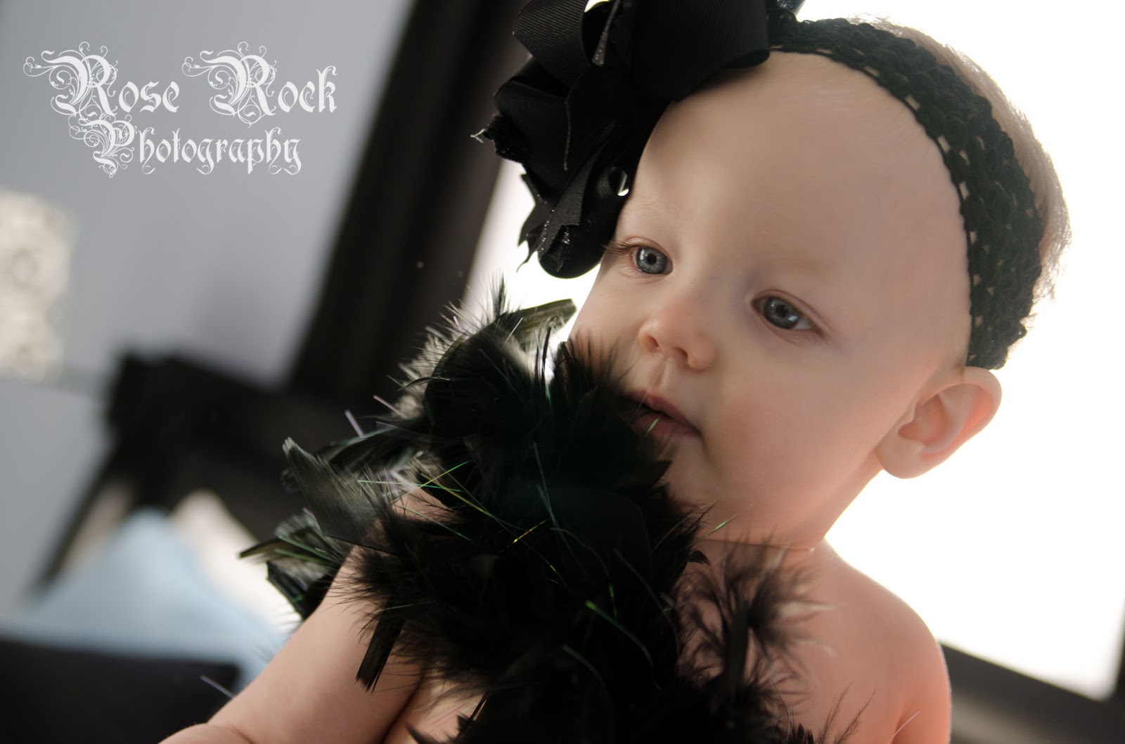 Please visit our new website: www.roserockphotography.com: The ...
