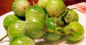 FAIDA ZIPATIKANAZO KWA KUTUMIA TUNGUJA PORI,NYANYA ZA MSHUMAA/CHUNGU ...