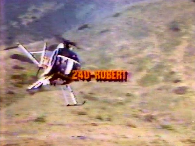 RARE AND HARD TO FIND TITLES - TV and Feature Film: 240-Robert (1979 ...