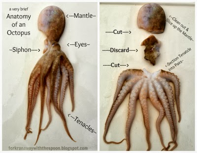 The Fork Ran Away with the Spoon: Deep-Fried Coconut Lime Baby Octopus