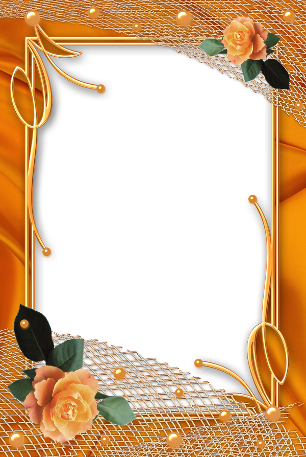 ForgetMeNot: orange roses frames