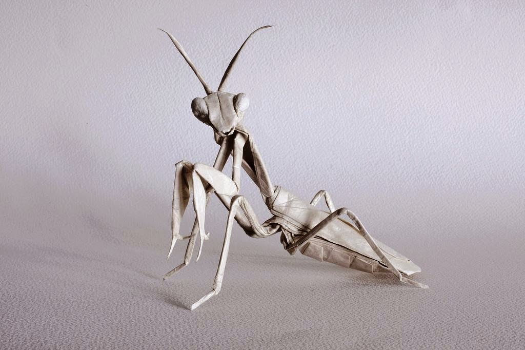 cool simple origami ~ ideas art and craft projects