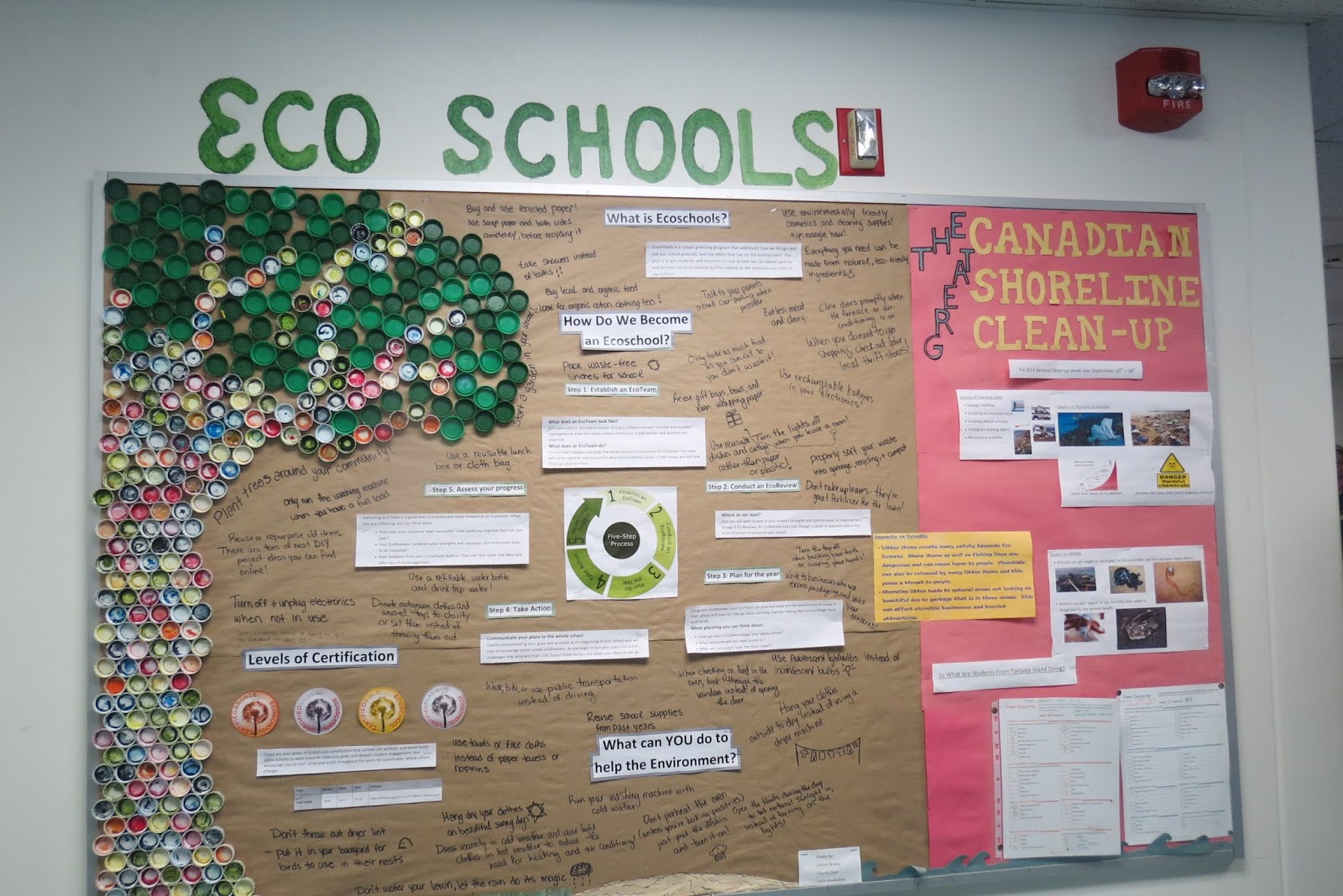 Adventures in PEI and Beyond!: Creating Beautiful Things from Recycling ...