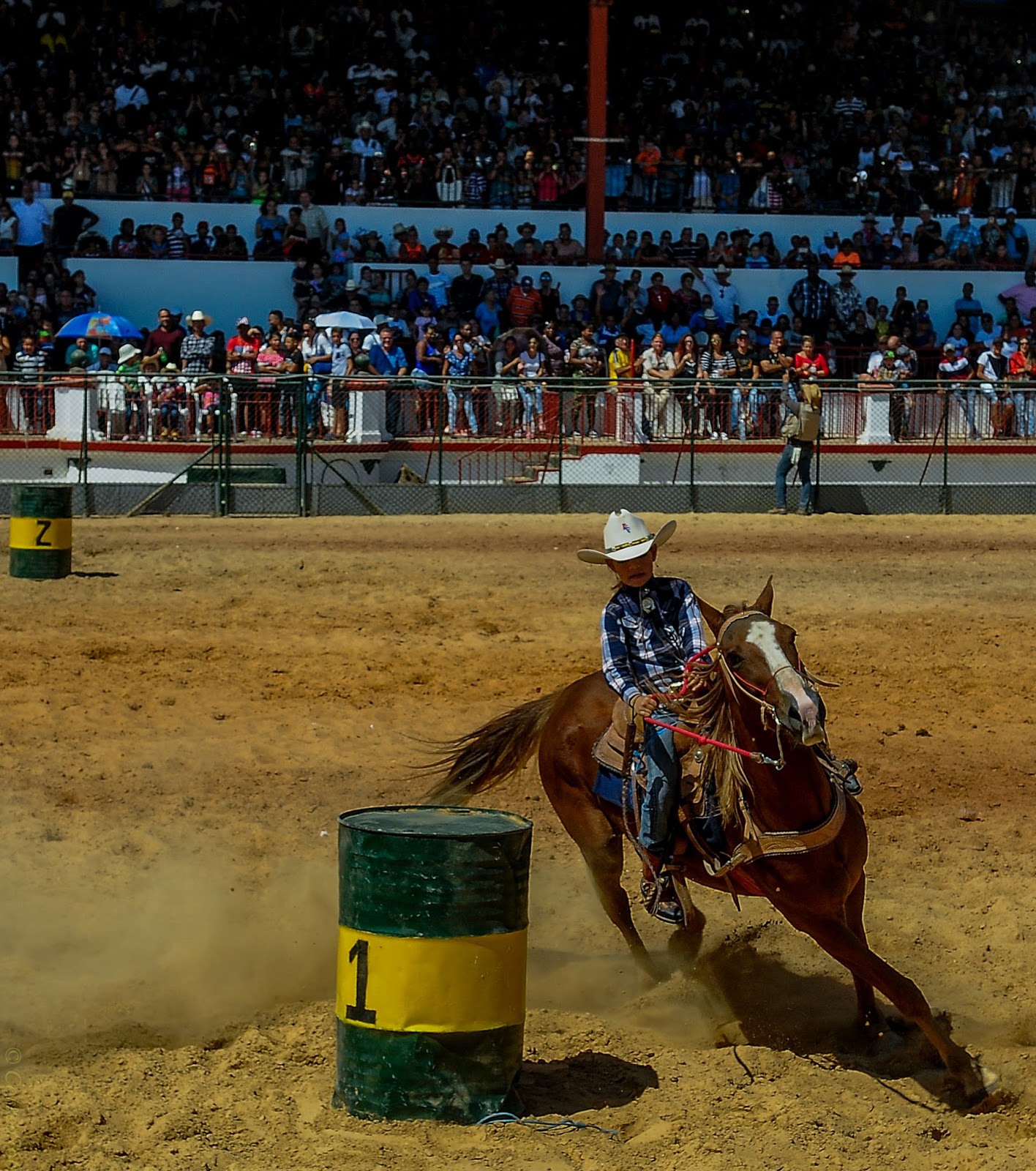 En el Colimador: ¿Rodeo cubano, espectáculo o deporte?