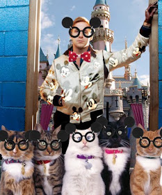 Disneyland Cat Meme