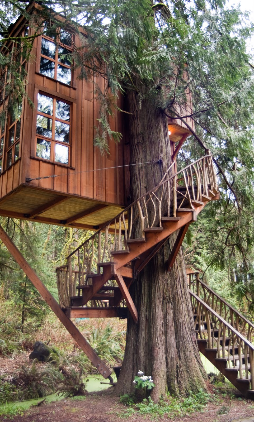 This is something I saw once.: Treehouse Point Weekend, Fall City