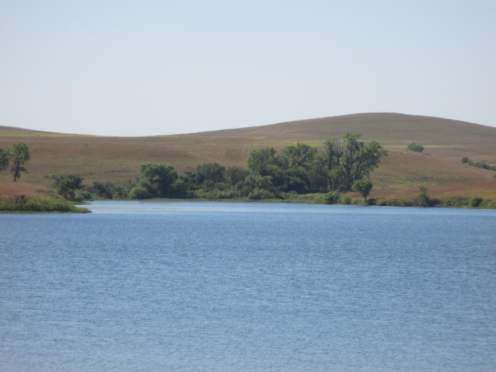 Backyard Excursions: Frogs and Waterfalls at Chase County Fishing Lake