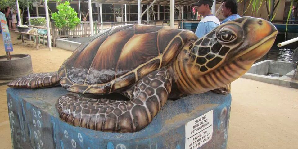 Turtle Island Tanjung Benoa Bali - INI INDONESIA