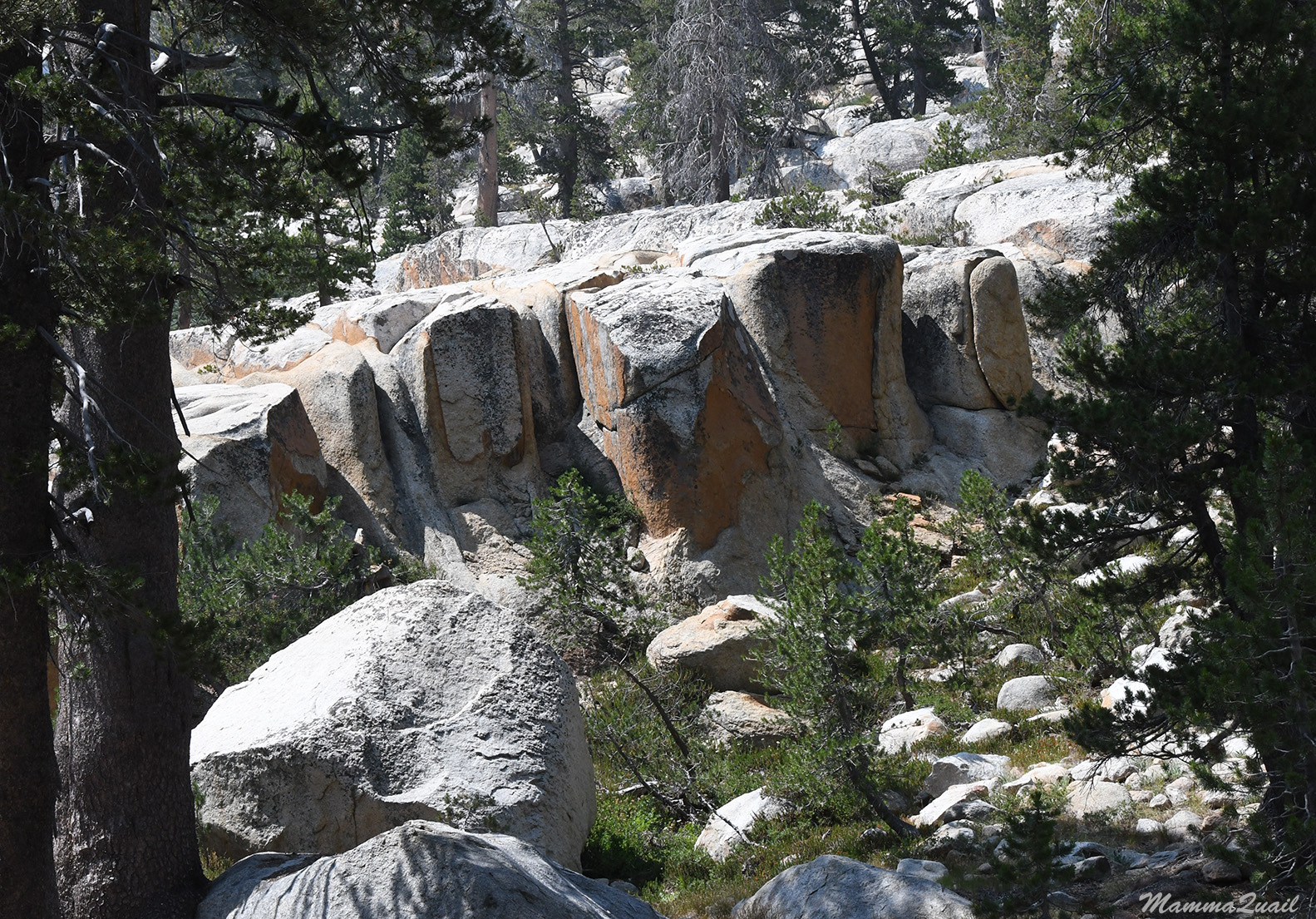 Mamma Quail Hiking California : Hiking Around the Dinkey Lakes Loop