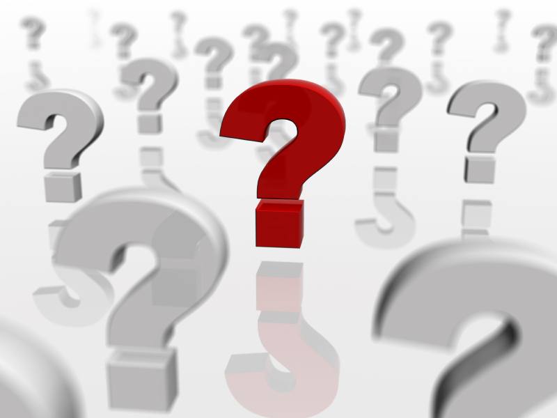 EL BLOC DEL JOAN: LAS PREGUNTAS QUE IMPORTAN. Miriam Subirana. El País.