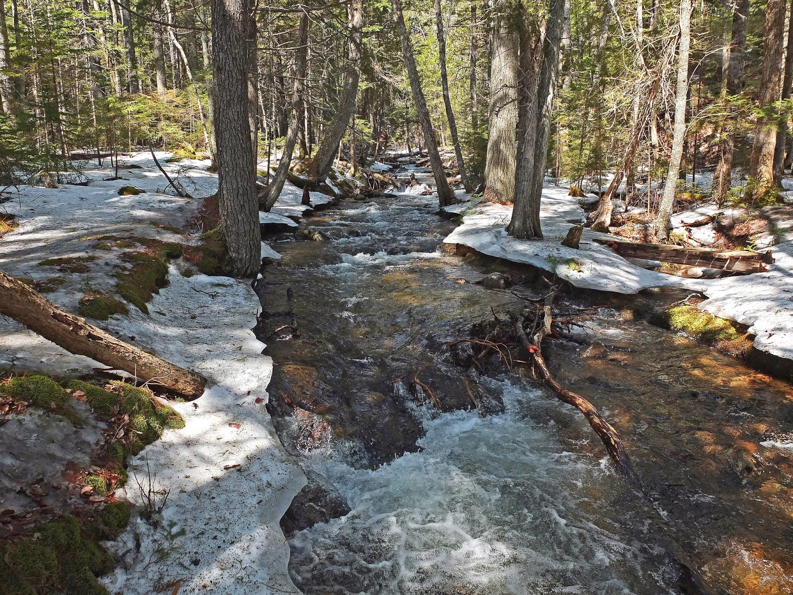 Hiking in Maine with Kelley: 4/7/14 Little Long Pond / Jordan Stream