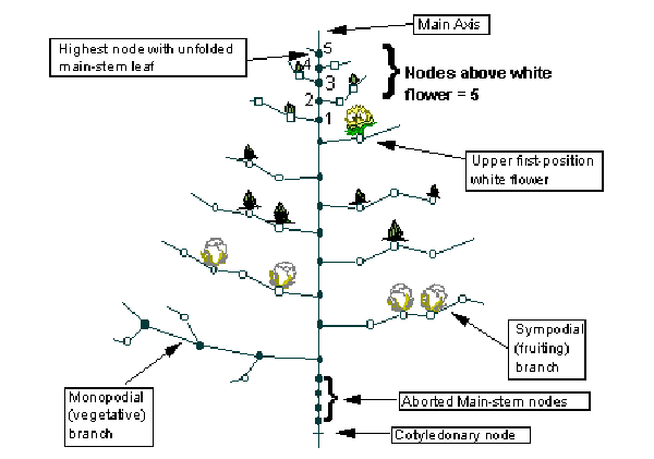 Sustainable Ag: A View from the Field: Nothing Beats Low-Tech When It ...