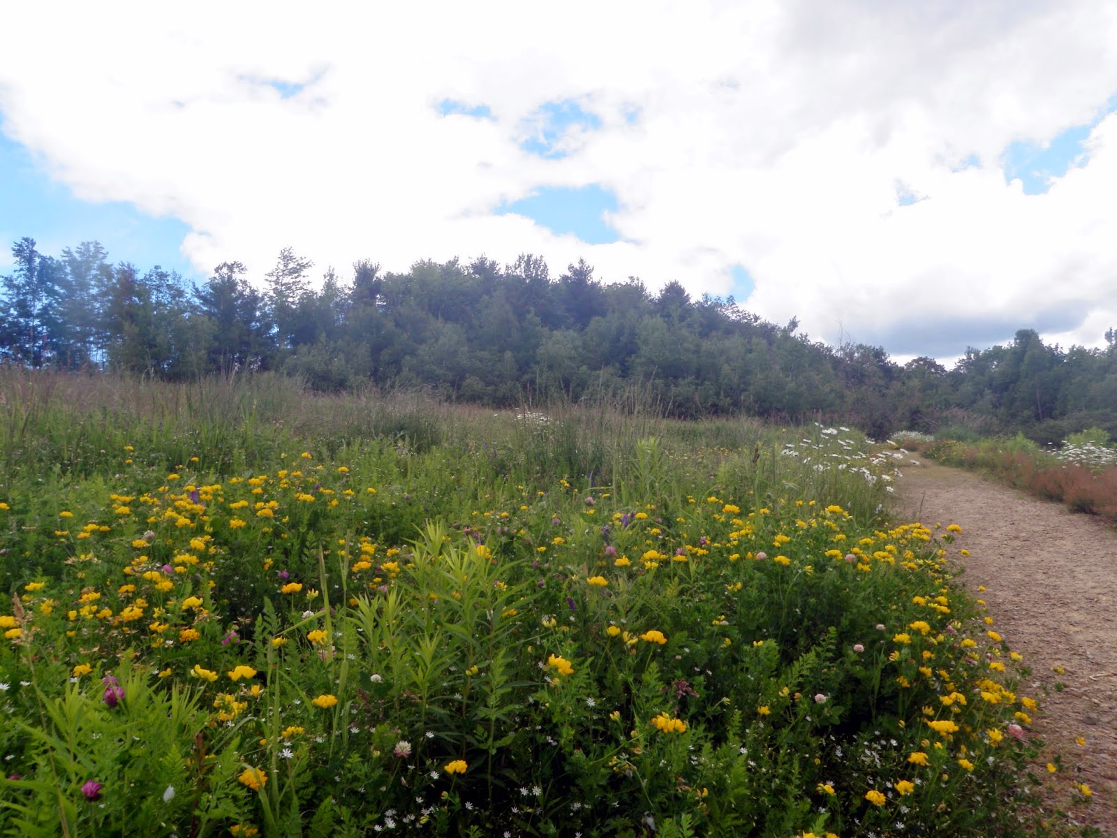 Trekking For A Cure. Giving MS The Boot!!: Monroe Hill (Fox State ...