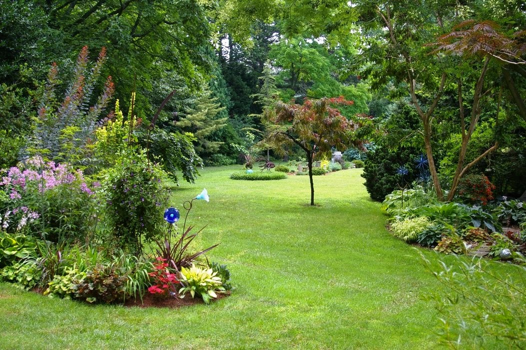 .: my article for newspaper: kuanzisha na kuendeleza bustani