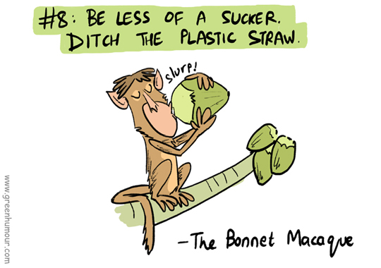 Green Humour: 12 Green Resolution Suggestions from Wild Animals