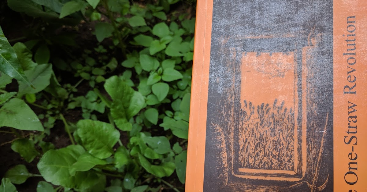 Book Review: The One Straw Revolution by Masanobu Fukouka ~ Anuradha ...