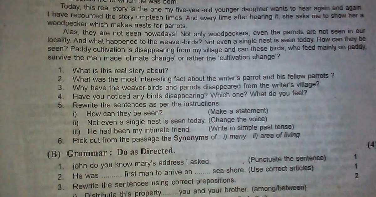 Let's Learn English Grammar: Question Paper Std 12 English