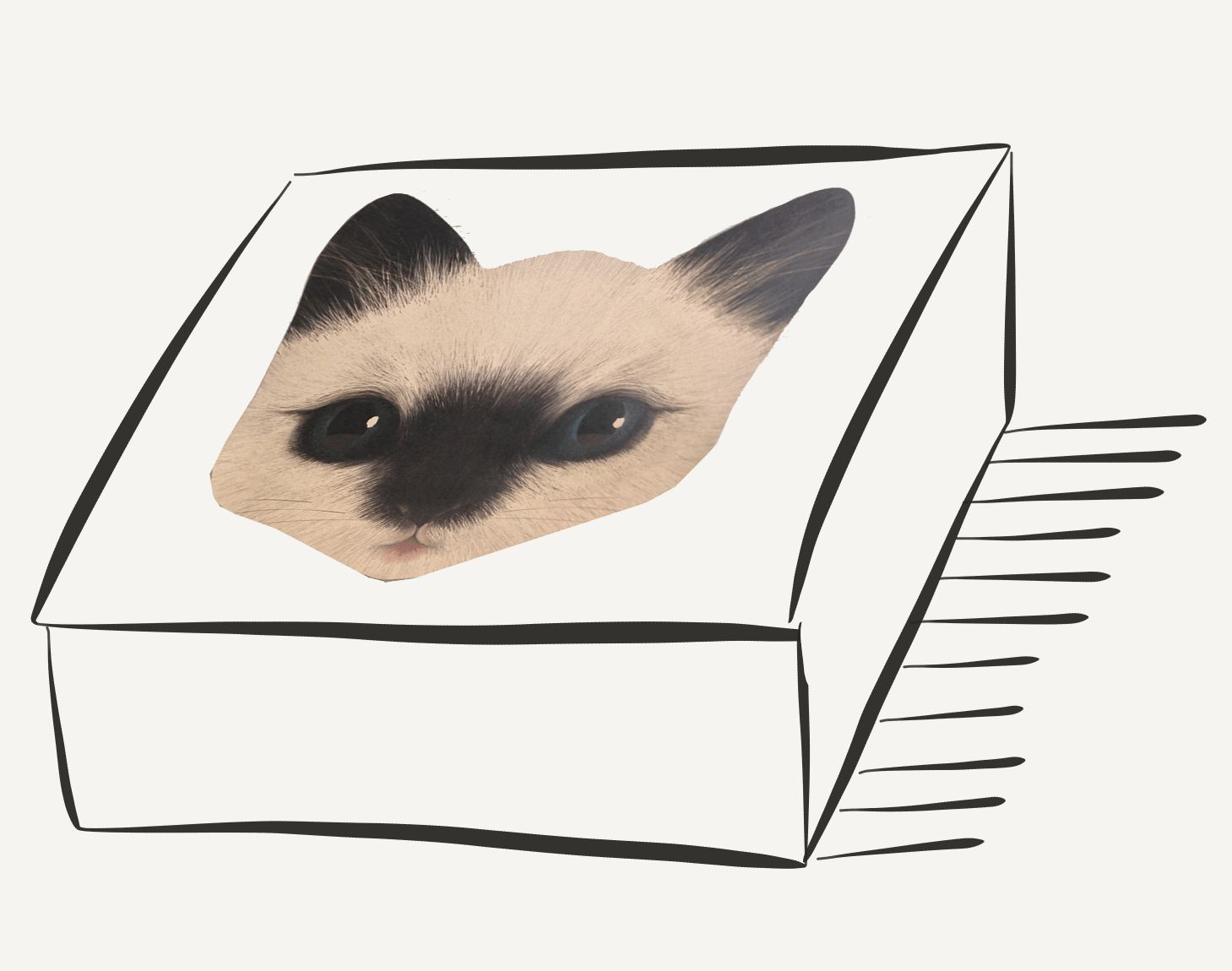 Ways to Use Meow Mail – papemelroti