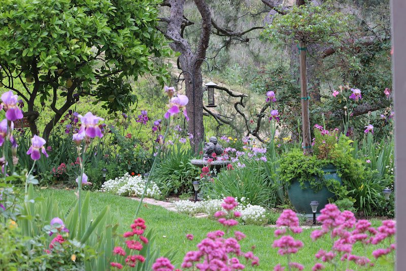 A Very Good Life: Garden Bloggers Bloom Day - May 2012