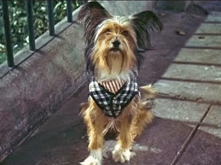 Disney Tidbits from a Disney Nut: Part Five in our Series - 30 Facts ...