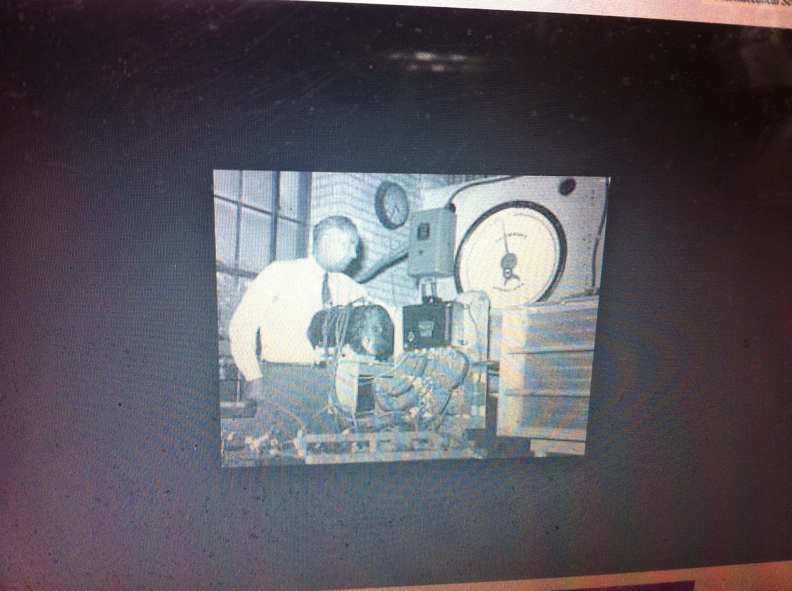 THE BLACK SOCIAL HISTORY:: BLACK SOCIAL HISTORY : AFRICAN AMERICAN ...