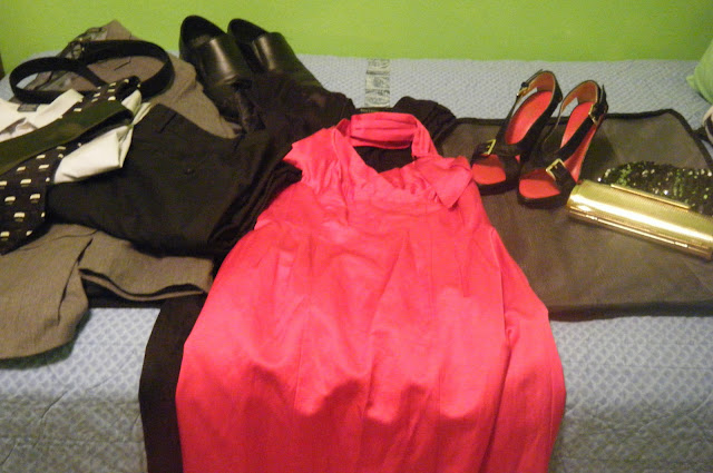 Review: Skyroll Garment Bag - Shereen Travels Cheap