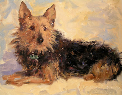 Portraits of Pets by Mike Brouse, Boulder, Colorado