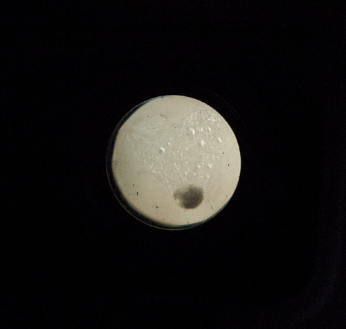 Petri 2.8 Color Corrected Super - Gunk on lens - Classic Manual Film ...