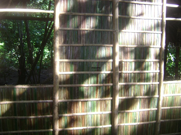 CONE FOR ME: Nipa house