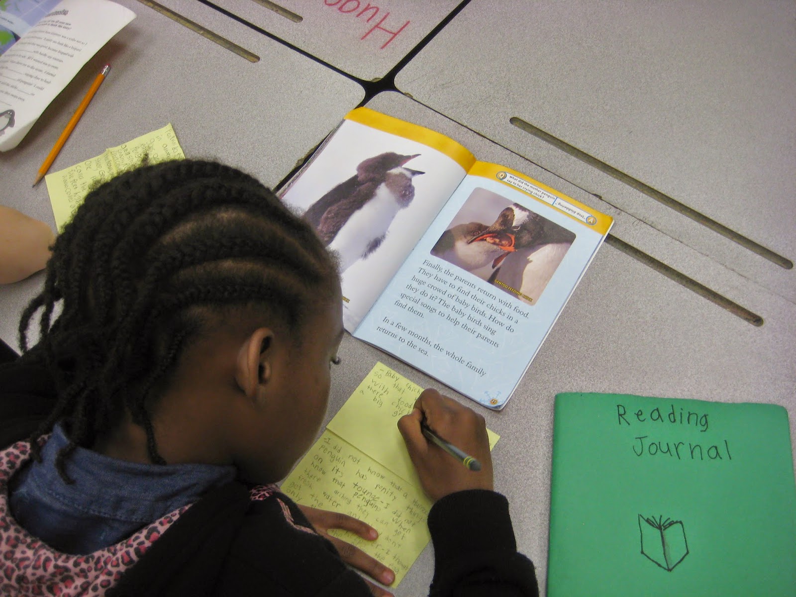 M & M World: Nonfiction Book Clubs