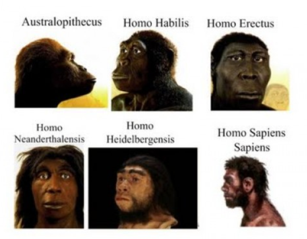 Acerca de los Fundamentos de la Comunicación: Creación, Evolución ...