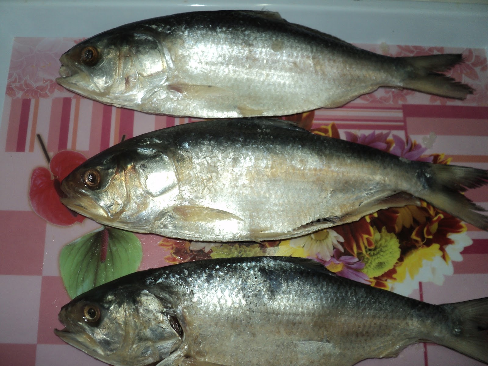 IKAN TERUBOK SARAWAK: ENGLISH