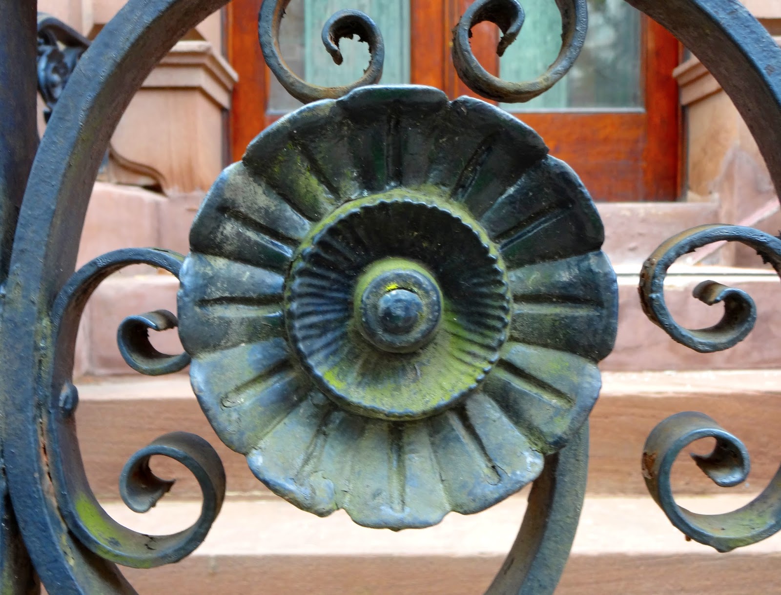 Albany (NY) Daily Photo: Iron Flower