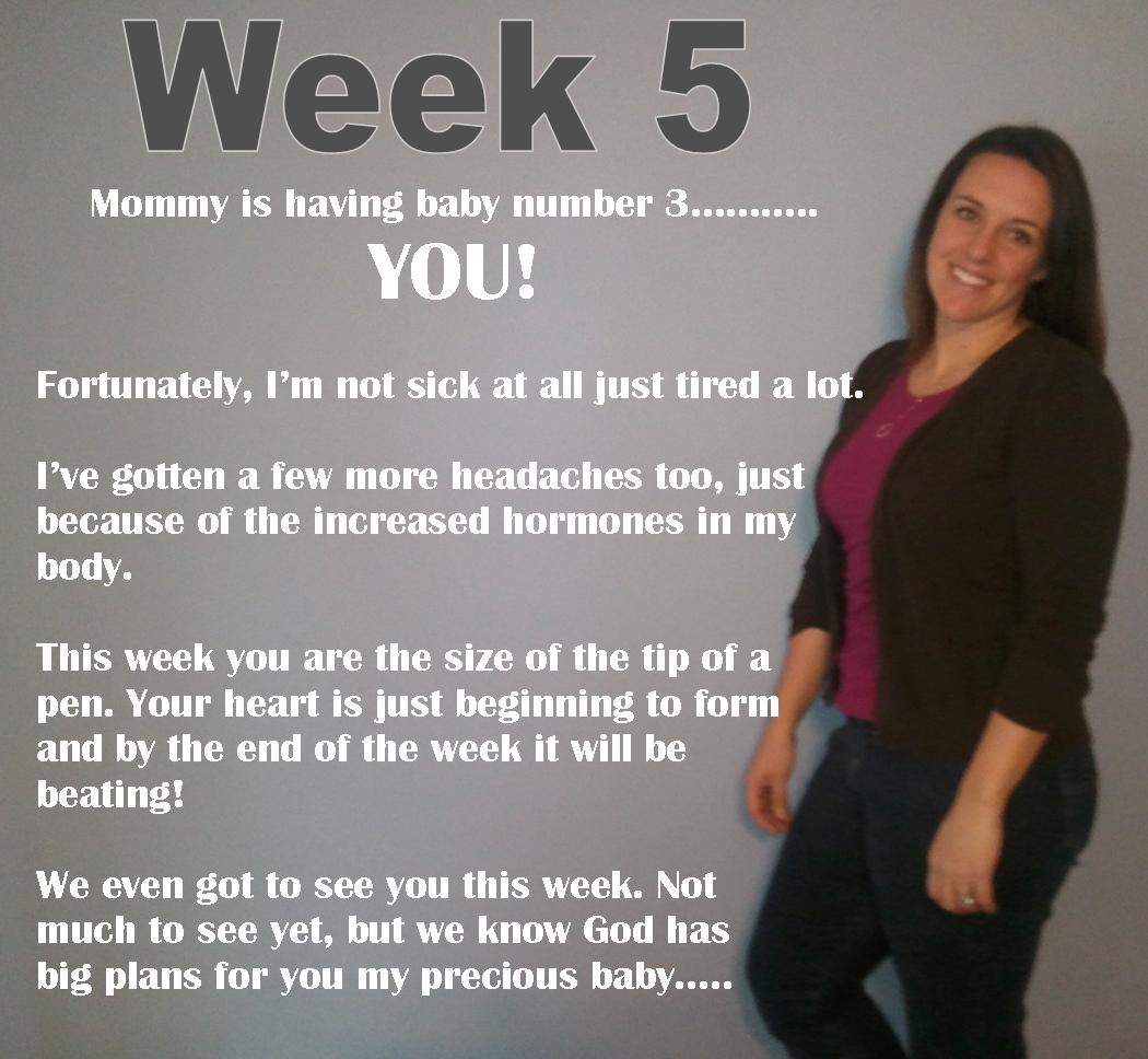 Sugar & Spice and Everything Nice...: Baby Bump Week 5