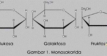 MONOSAKARIDA DAN PENENTUAN STEREOKIMIA | A chemist
