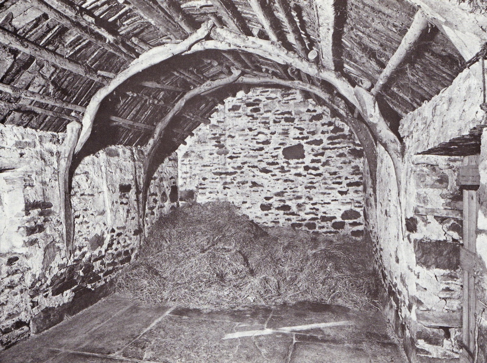 Grey Hen's Well: Hovel or Habitable Home?