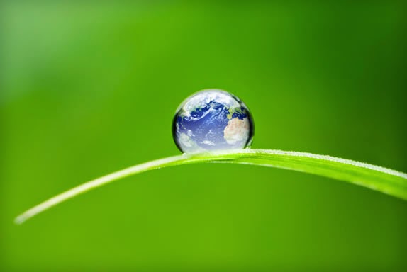 English for primary: Learn about the Environment...