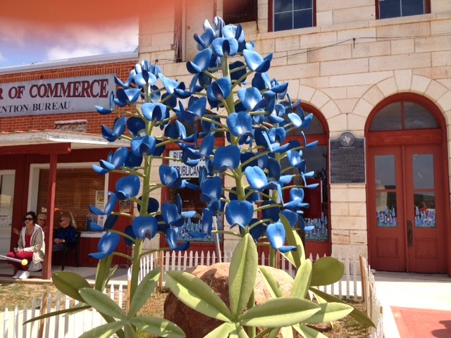 The Bluebonnets of Burnet Texas | Western Trips