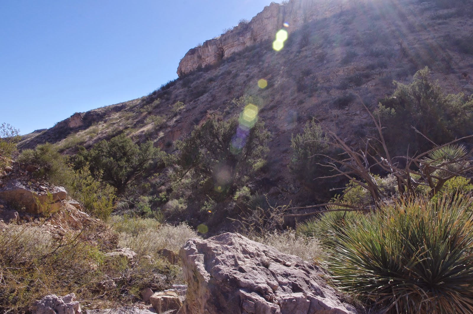 Southern New Mexico Explorer: " Middle" Canyon, Robledo Mountains