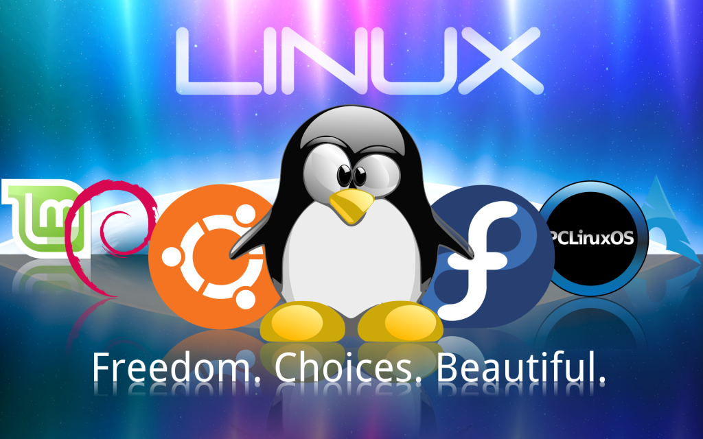 Mengenal Linux OS dan Macam System Directory Linux OS - ARSPujaLabs